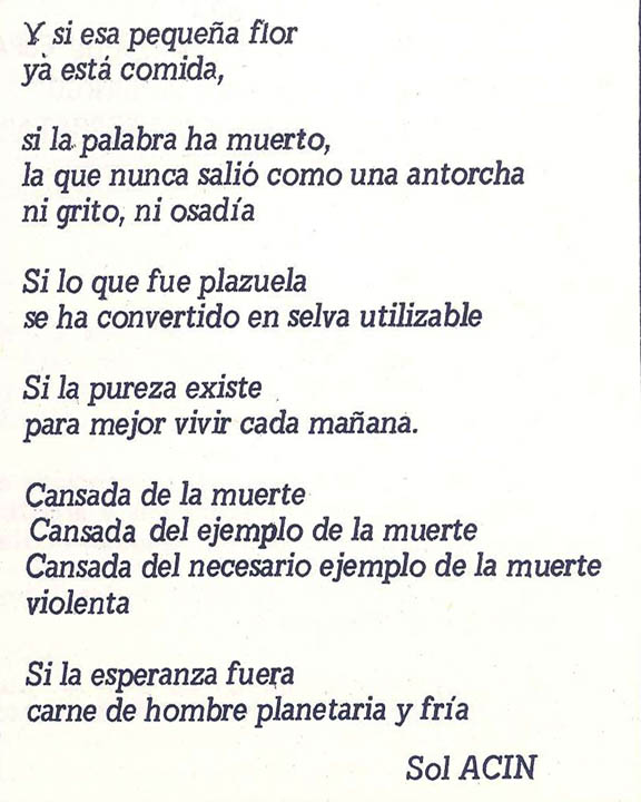 Quinta entrega de miradas: “el jardín de sol acín”, por ismael grasa ...